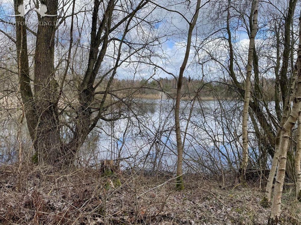 Konsortiepladser i skov og ved sø nord for Sorø