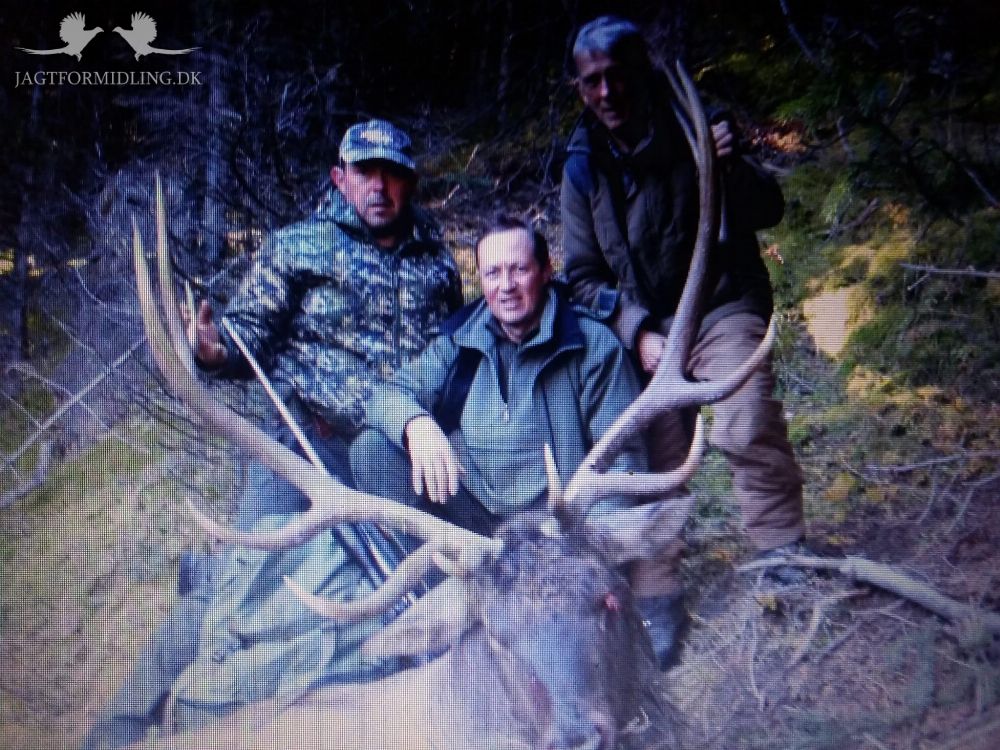 Afbudsjagt på Maral-hjort i Kazakhstan