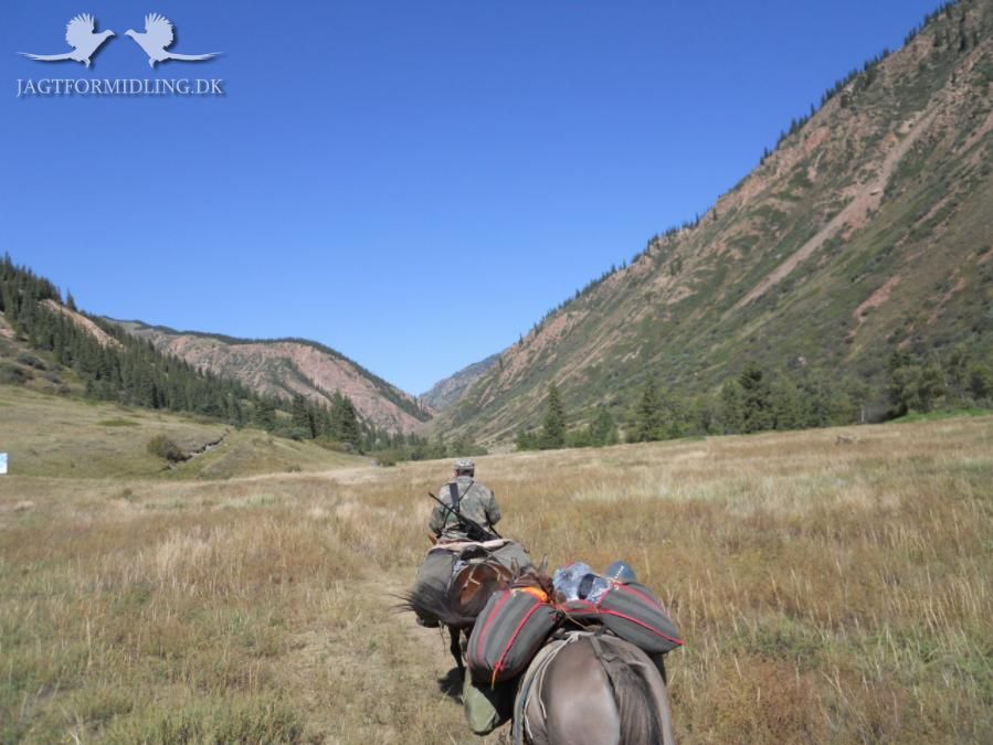 Maral-jagt i det østlige Kazakhstan tæt på Kina