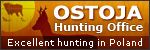Red stag hunt Poland - BIG STAGS 8-10 KG