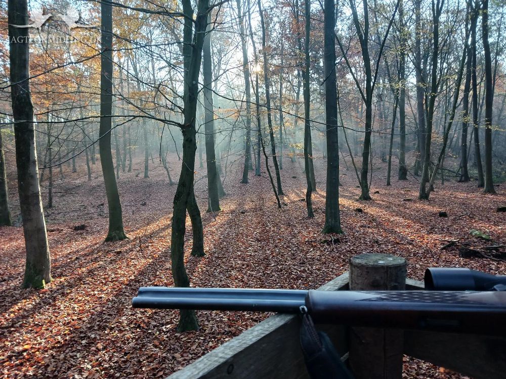 Blaser B97 dobbeltriffel / kombi